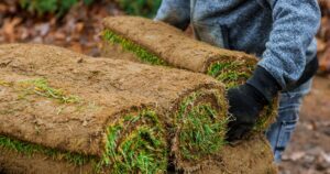 How Big is a Roll of Sod