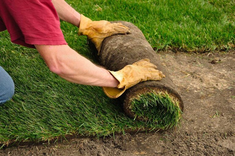 How Big is a Roll of Sod