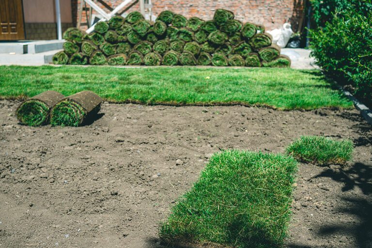 How Big is a Roll of Sod